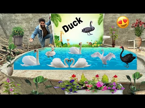 Sub Ducks Ko Pool Me Chor Dea 🦆🦆🦢 - YouTube