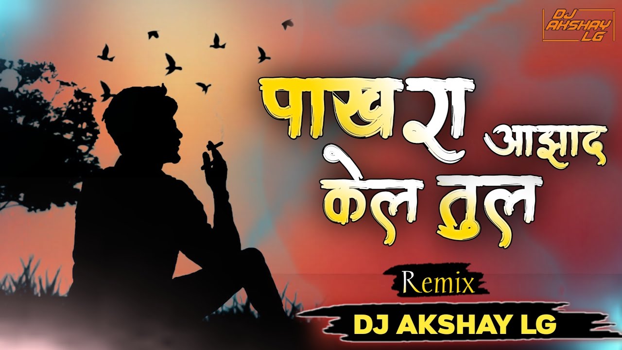 Pakhara Aazad Kela Tula Remix Dj Akshay LG - YouTube