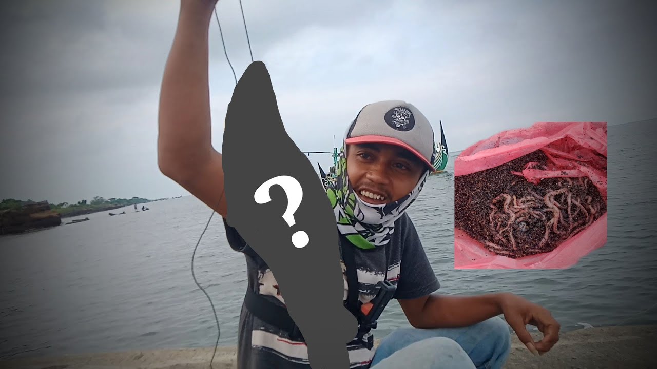 Mancing pakai umpan cacing laut dan lihat hasilnya!! - YouTube