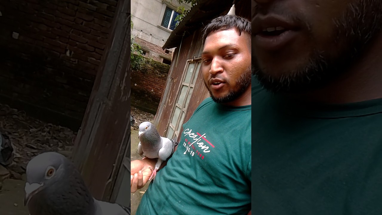 🕊️🕊️🥰 - YouTube