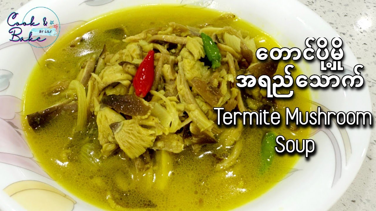 တောင်ပို့မှိုအရည်သောက်/ ေတာင္ပို႔မႈိအရည္ေသာက္/ Termite mushroom Soup ...