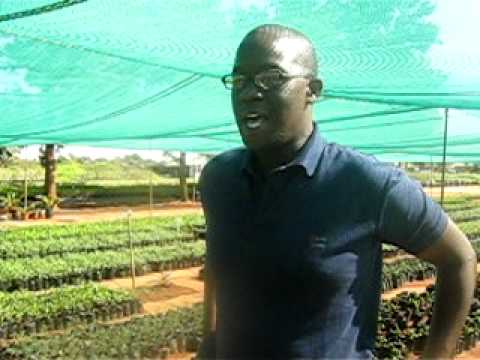 Going Green with Mo Molemi - YouTube