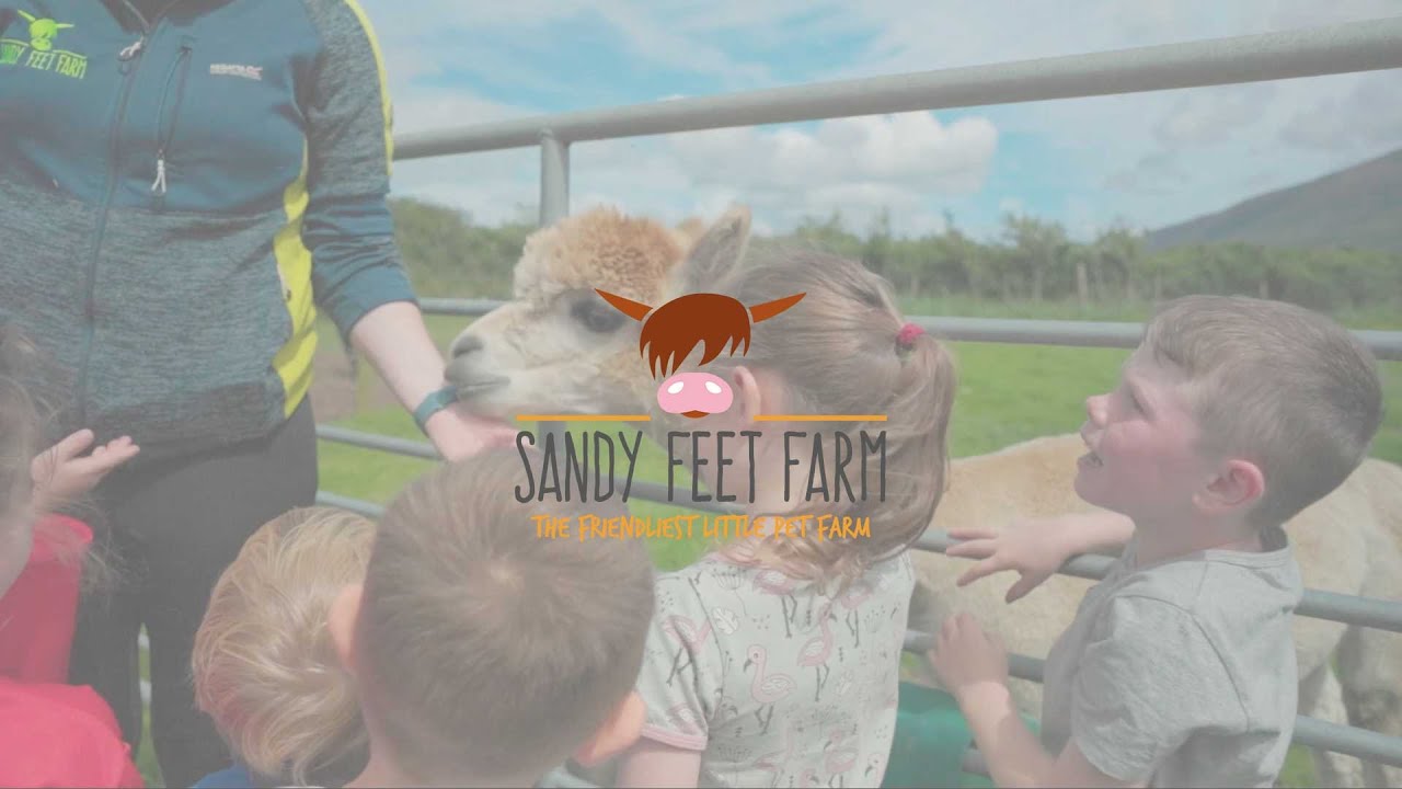 Sandy Feet Farm - Family Pet Farm - YouTube
