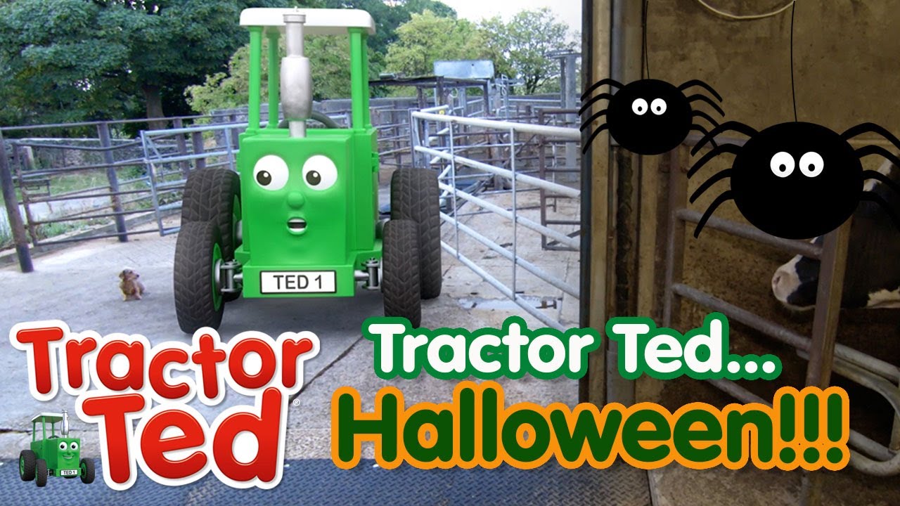Let's Look For Spiders On The Farm! 🕸👀 | Tractor Ted Halloween ...