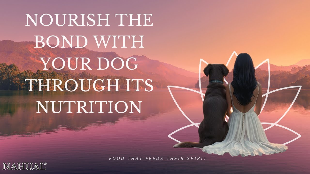 Your dog is more than that, real food can enhance their bond. Meet ...