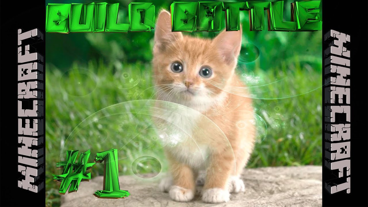 Minecraft Build Battle #1 | El gato más adorable del mundo. - YouTube
