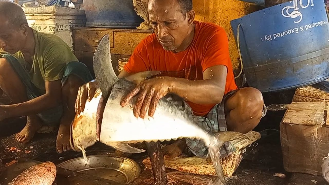 Never Seen! Giant Surma Fish Cutting | Fish Cutting Skills - YouTube