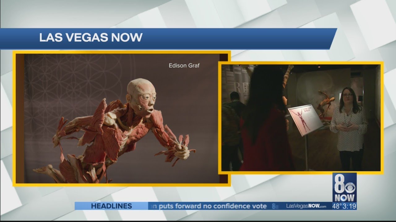 A look inside the real bodies exhibit - YouTube