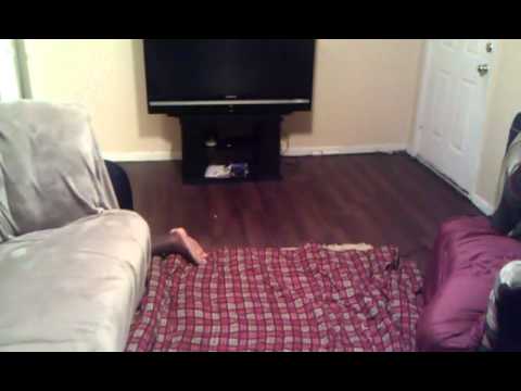 Ghetto Scary Movie.3gp