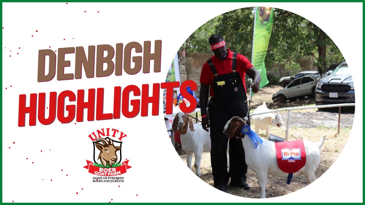 Denbigh 68 Competition Highlights 2022 - YouTube