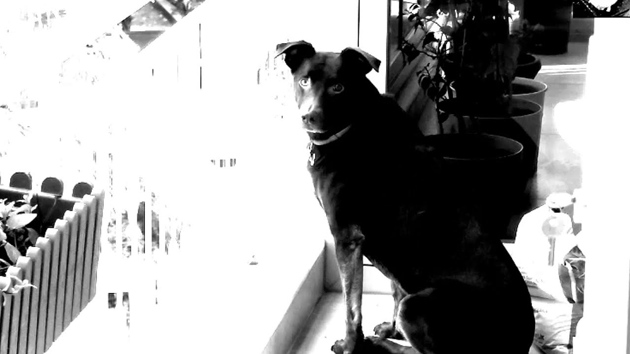 Alfred SAD! - YouTube