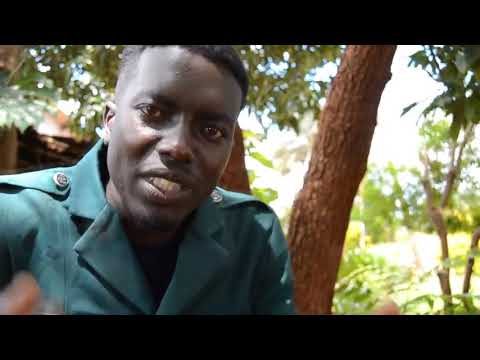 MASH WAVE_NYASHA(Official Video pro by DIRECTOR WASU 0777756731 - YouTube