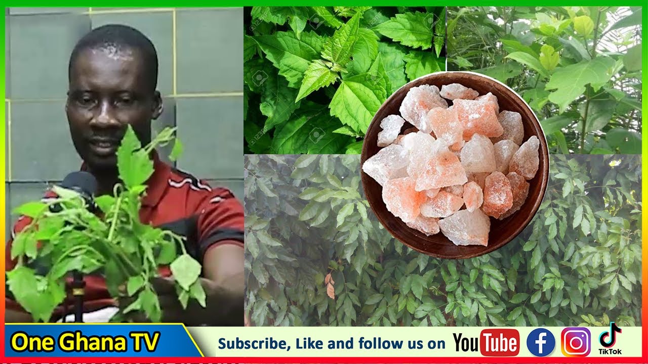 Postive Energy; Use these 3 leaves to grow Ur business; Heal Urself💕 ...