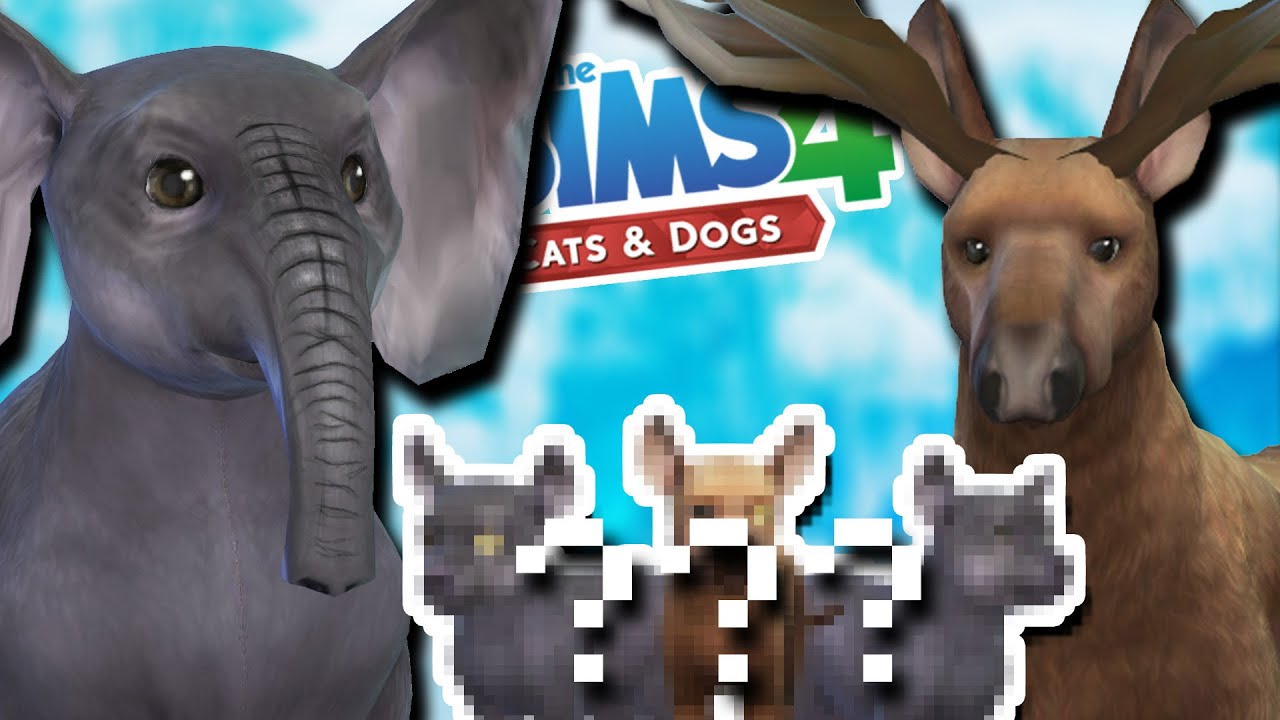 Birth of ELEPHANT x Moose Cross-Breeds?! 🐘💕🦌 - YouTube