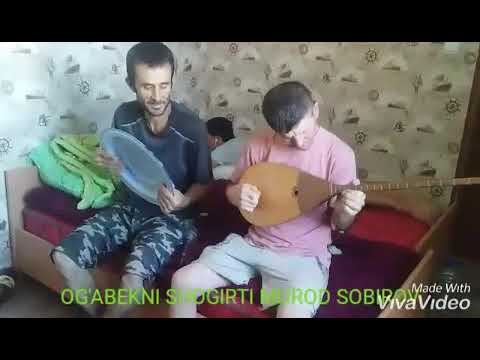 Ogabek shogirdi