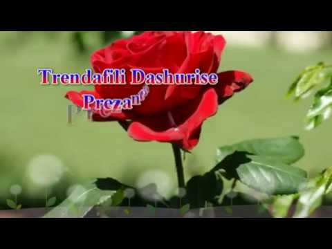 Toygar - Bırak sende kaybolayım - Me lere te perhumbem me ty - Albania Lyrics