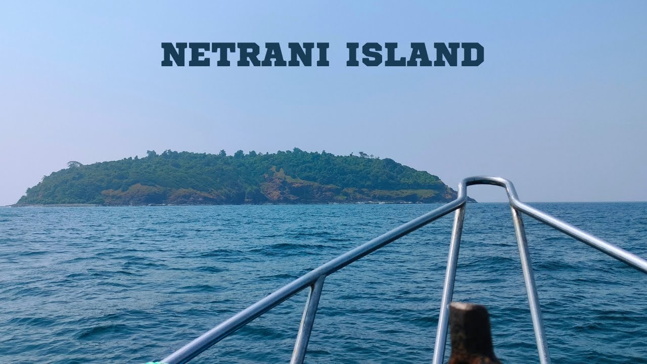 Netrani Island scuba diving | Karnataka - YouTube