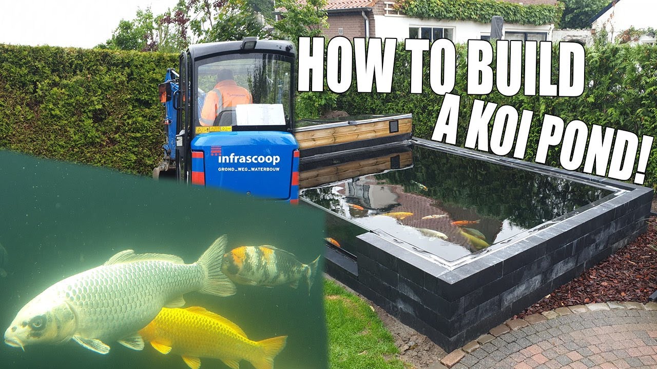 HOW TO BUILD A KOI POND - YouTube