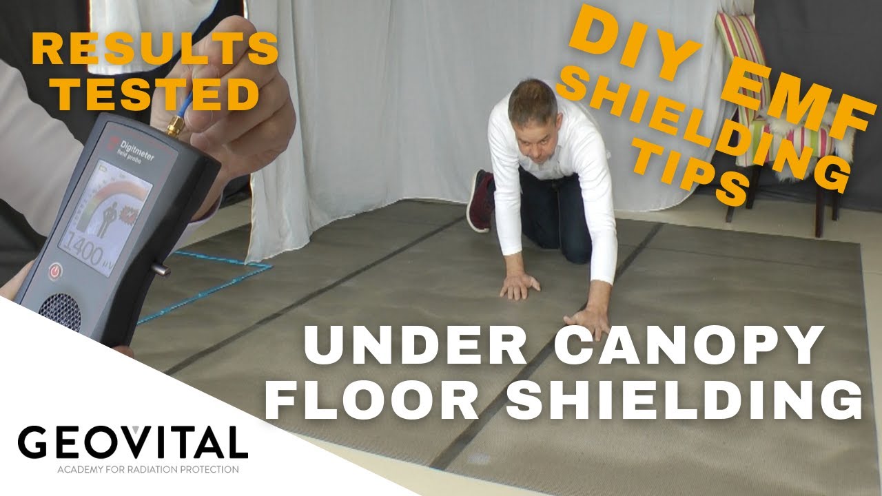 Emf Protection Homemade - Home Alqu