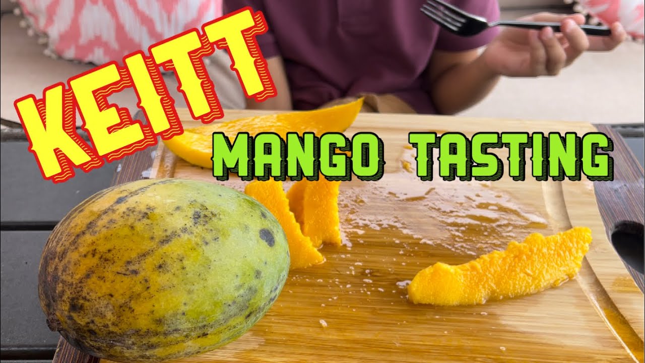 Keitt Mango Tasting 😋 - YouTube
