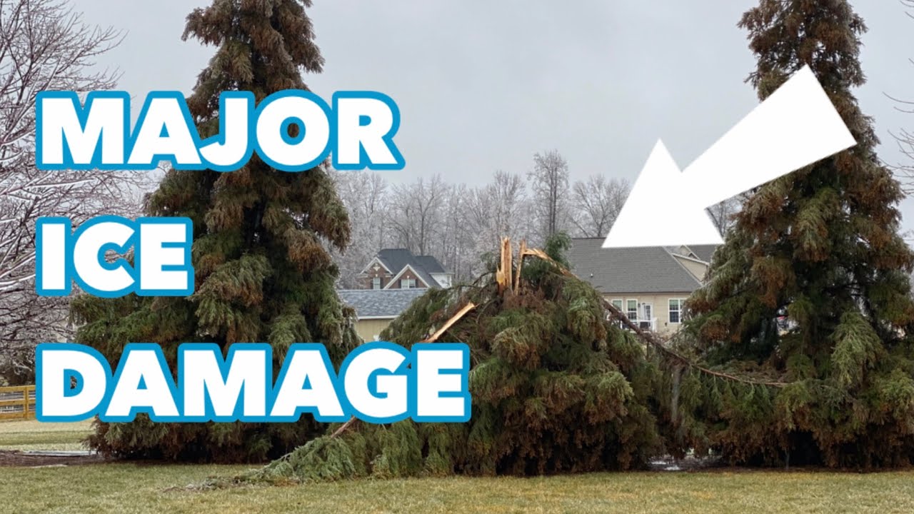 MAJOR Ice Damage in My Lawn - YouTube