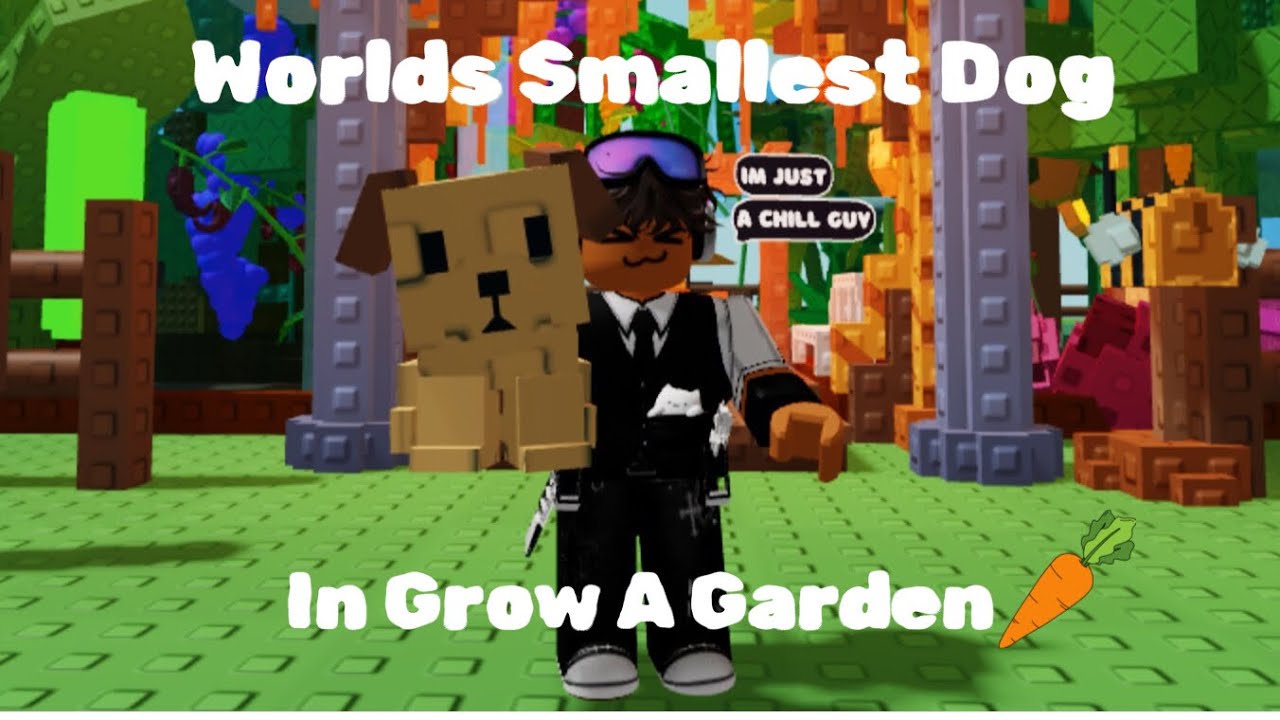 The smallest golden lab in grow a garden - YouTube