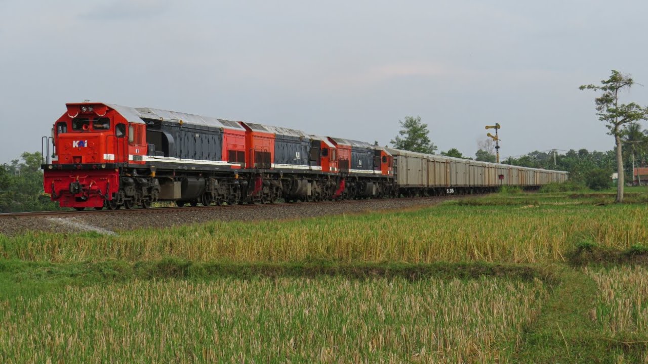 MOMEN JARANG !! Pengiriman Triple CC 202 via Kereta Api Pulp Bonus ...