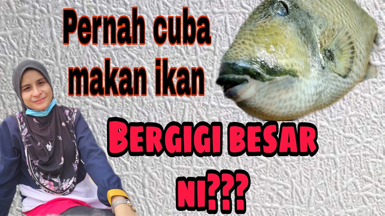 Cara Masak Ikan Pogot | Sagol Ikan Pogot Versi Semporna Sabah | Masak ...
