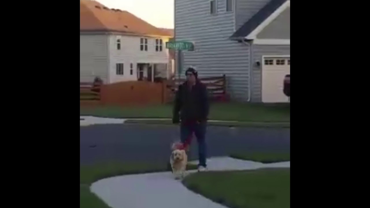 Elf on the Shelf version of Bud Light vendor commercial - YouTube