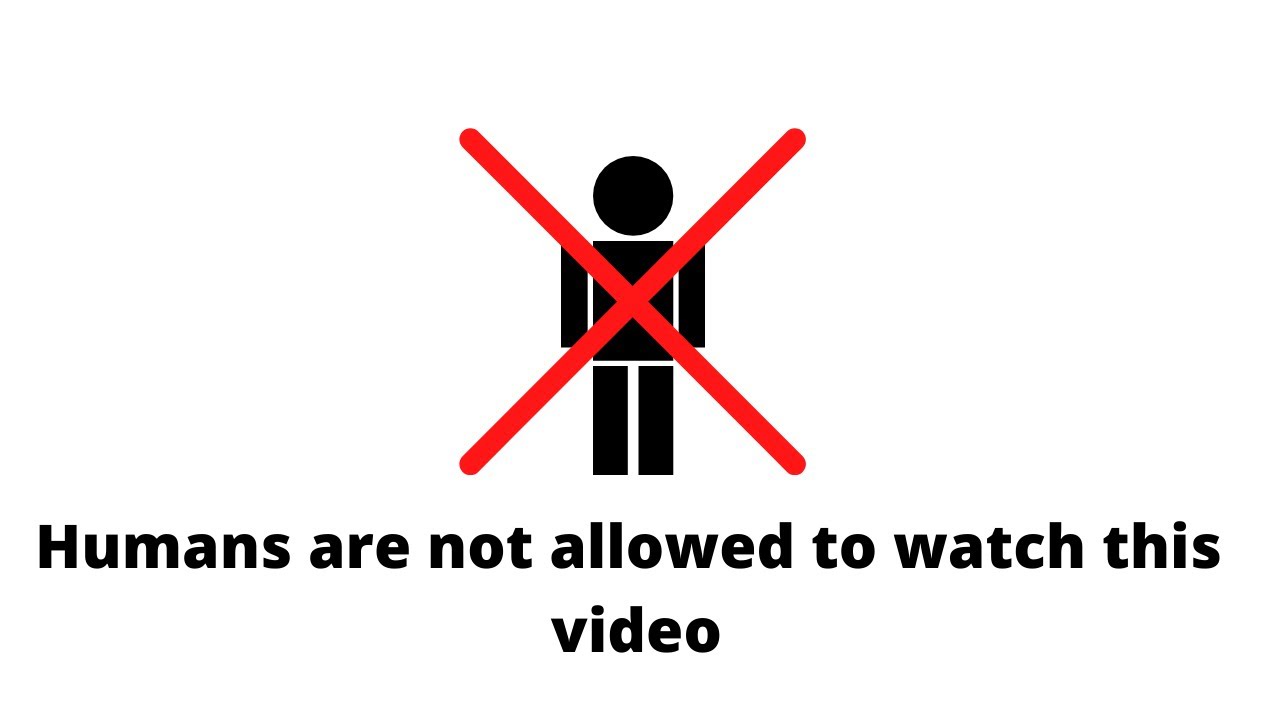 Humans are not allowed to watch this video - YouTube