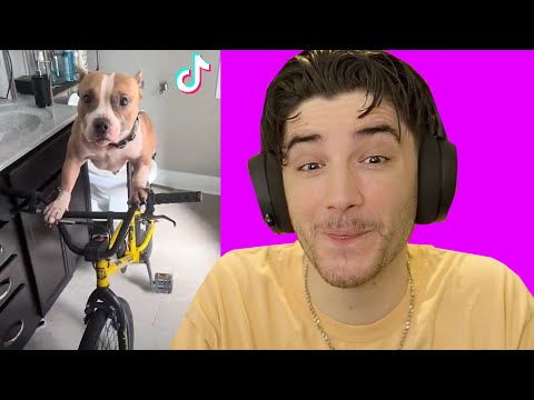 Crispy Reacts to \