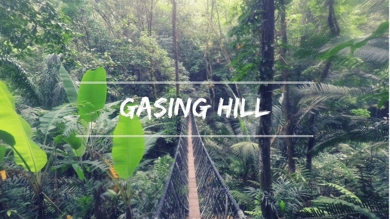 The BRIDGE is the main attraction! Hiking at Gasing Hill! | Hiking ...