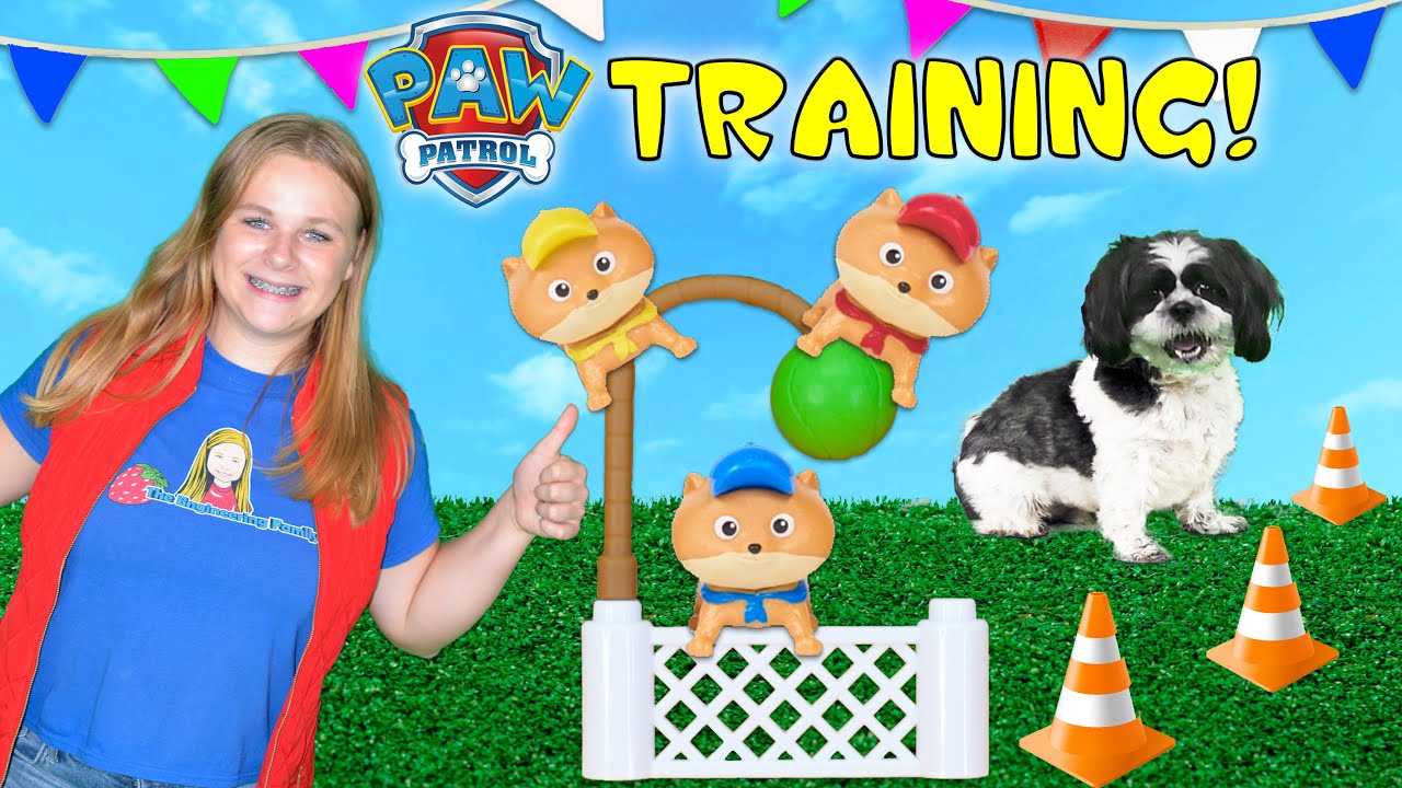 Assistant Works with Wiggles to help he Paw Patrol Junior Patrollers ...