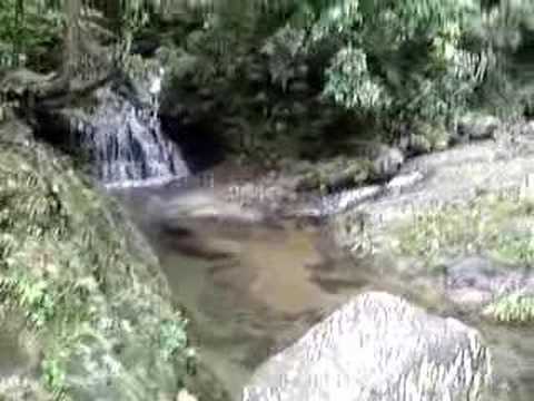 Toro Negro Reserve - Cordillera Central - Puerto Rico - YouTube