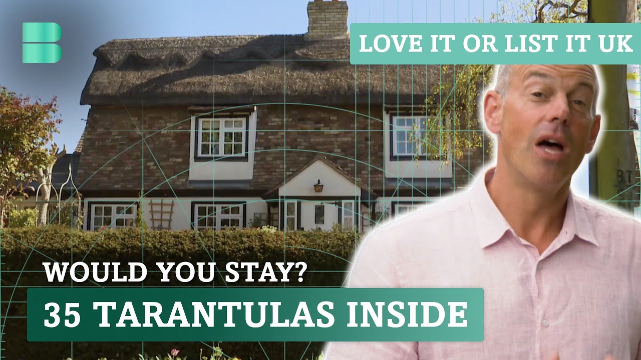 Cambridge Couple's Spider Filled Home Renovation Challenge - YouTube