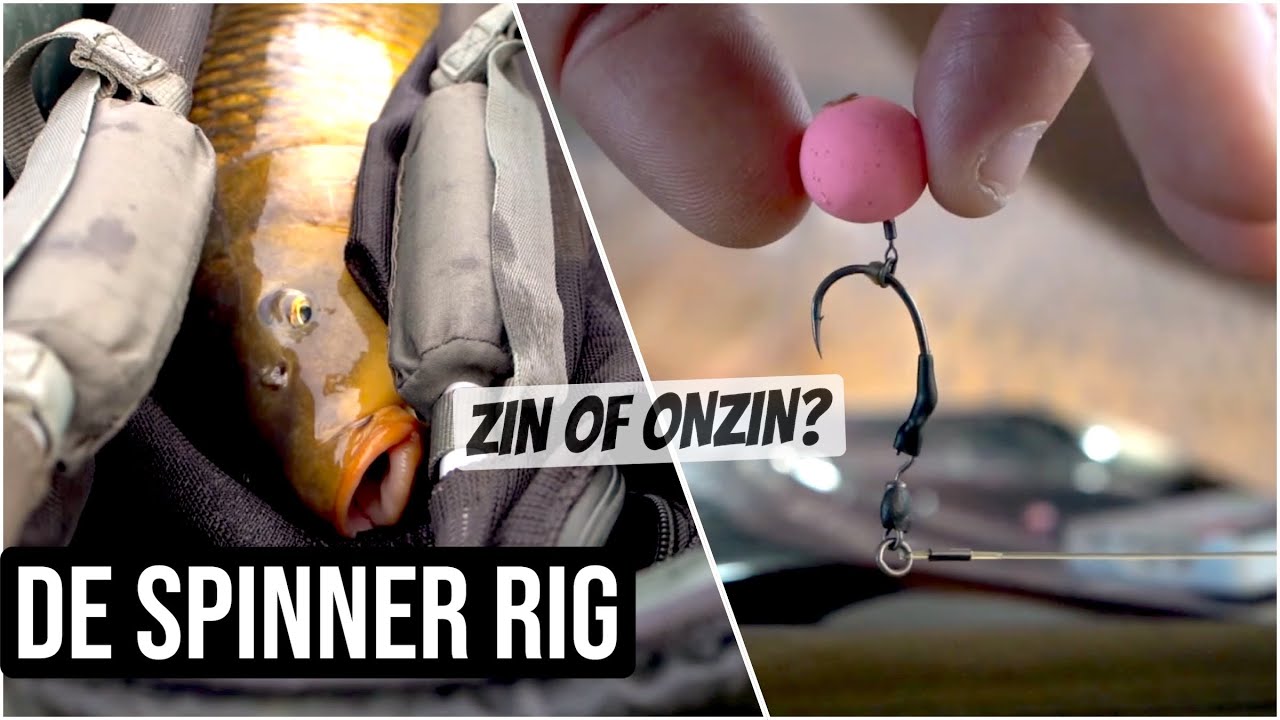 DE SPINNER RIG - KARPERVISSEN MET POP UPS 2021 - YouTube