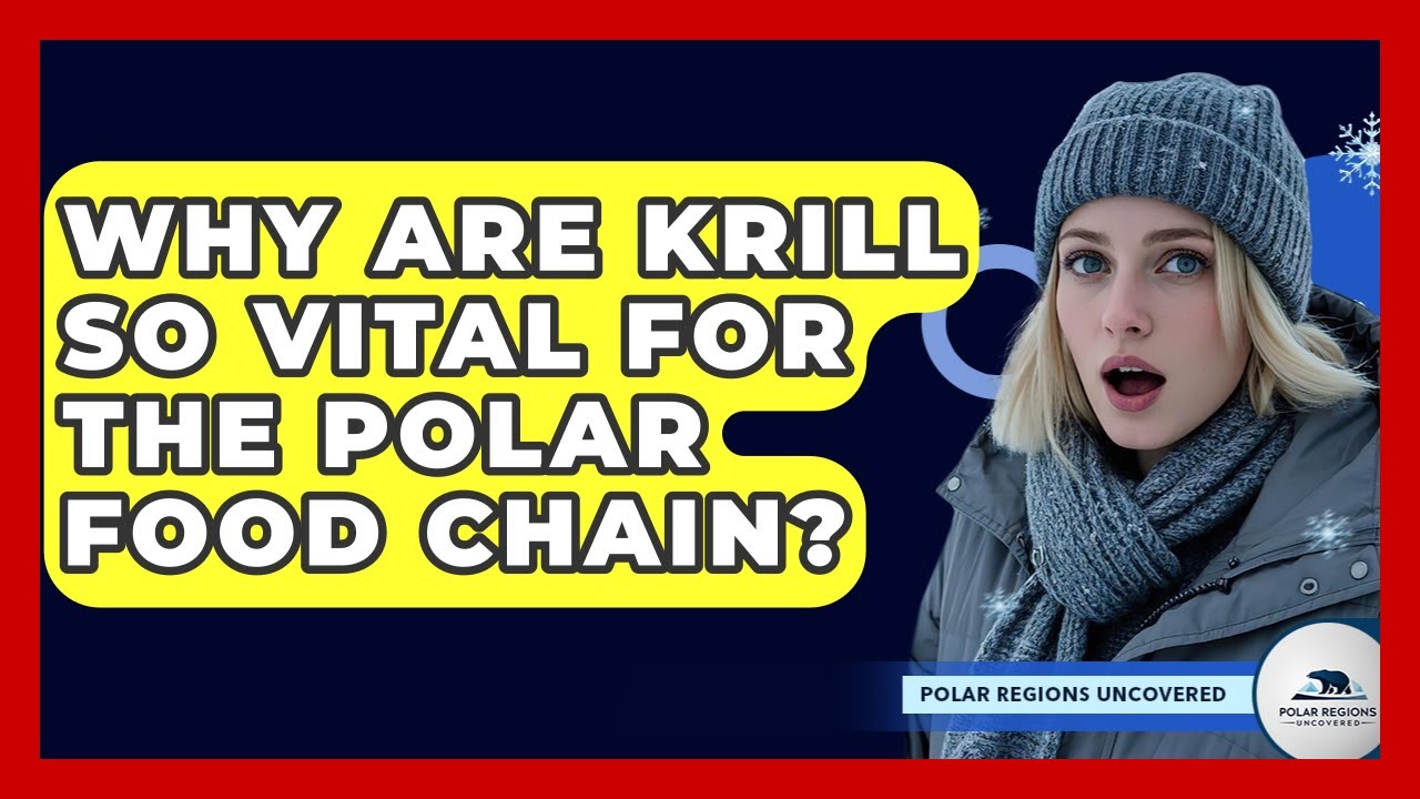 Why Are Krill So Vital For The Polar Food Chain? - Polar Regions ...