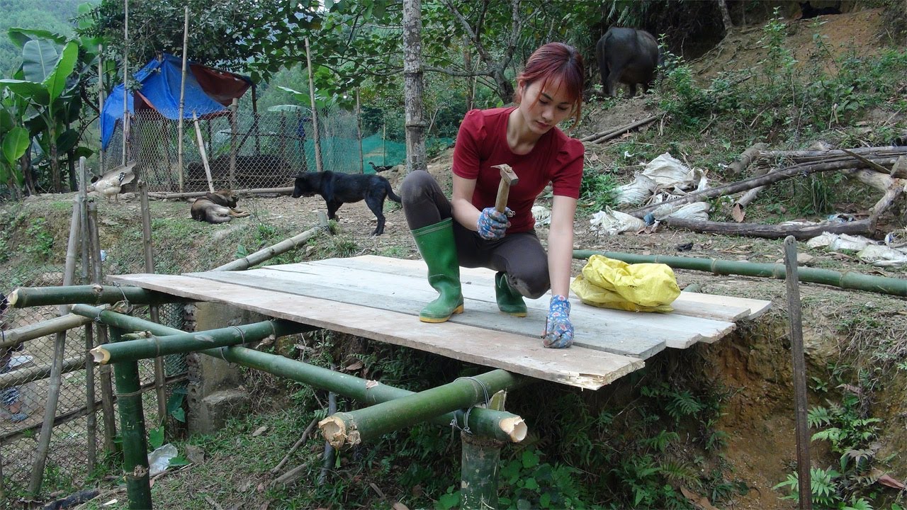 How to make house for pig, make the floor of the pigsty - Green Forest ...