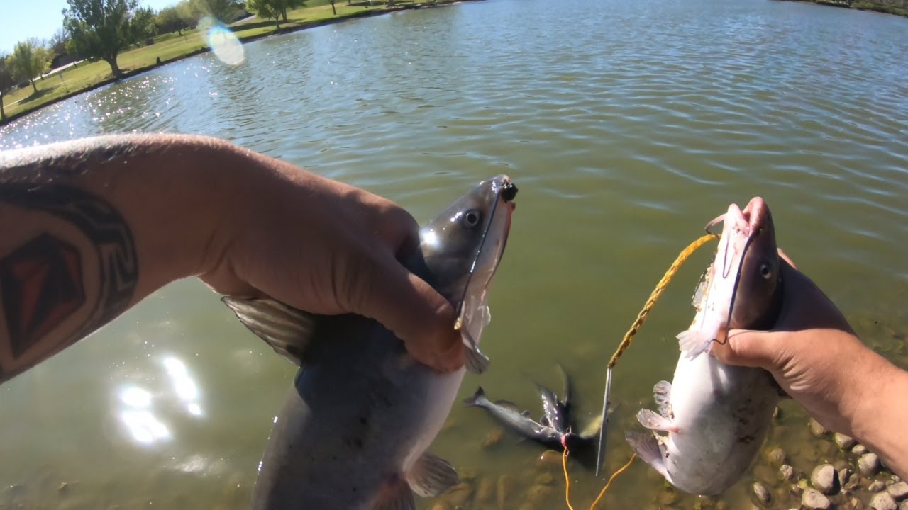 CRAZIEST Day Of CATFISHING EVER!! Fastest FULL Stringer In My LIFE ...