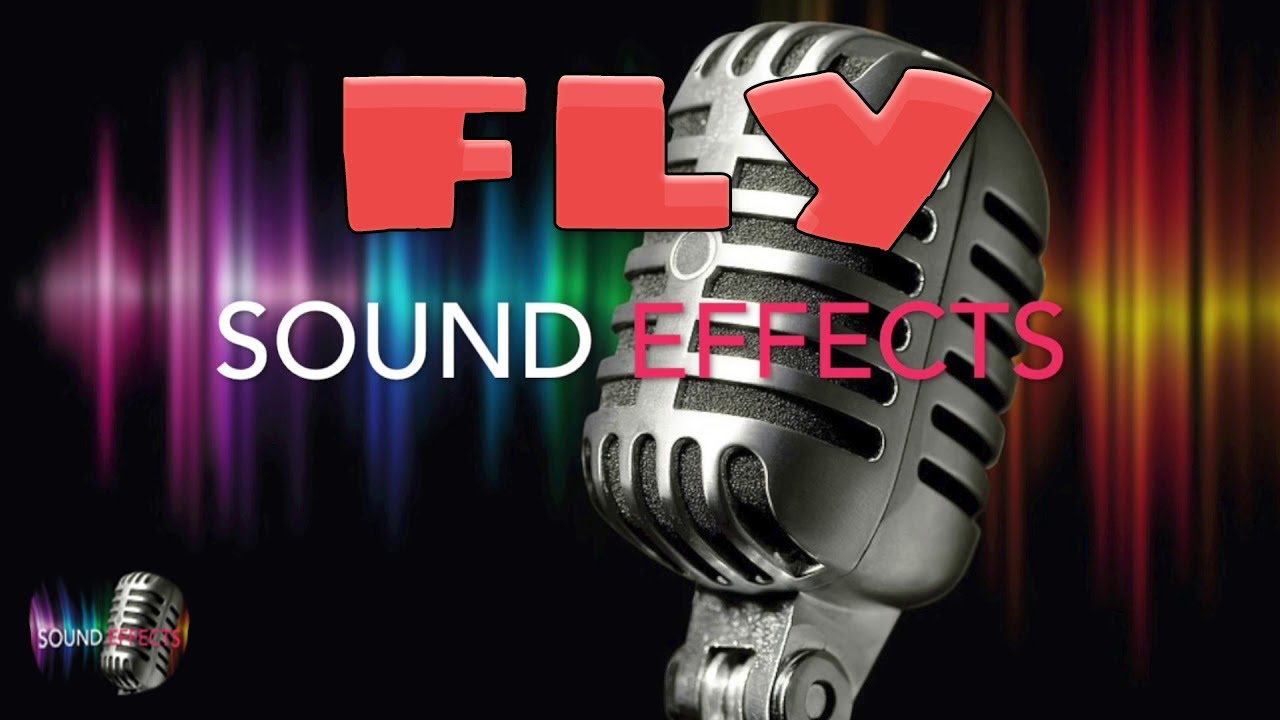 FLY SOUND EFFECT|NON COPYRIGHT|BEST QUALITY SOUND! - YouTube