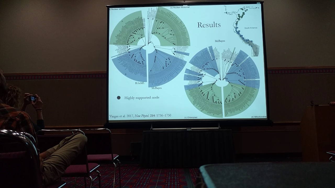Vargas: Conflicting phylogenomic signals reveal a pattern of reticulate ...