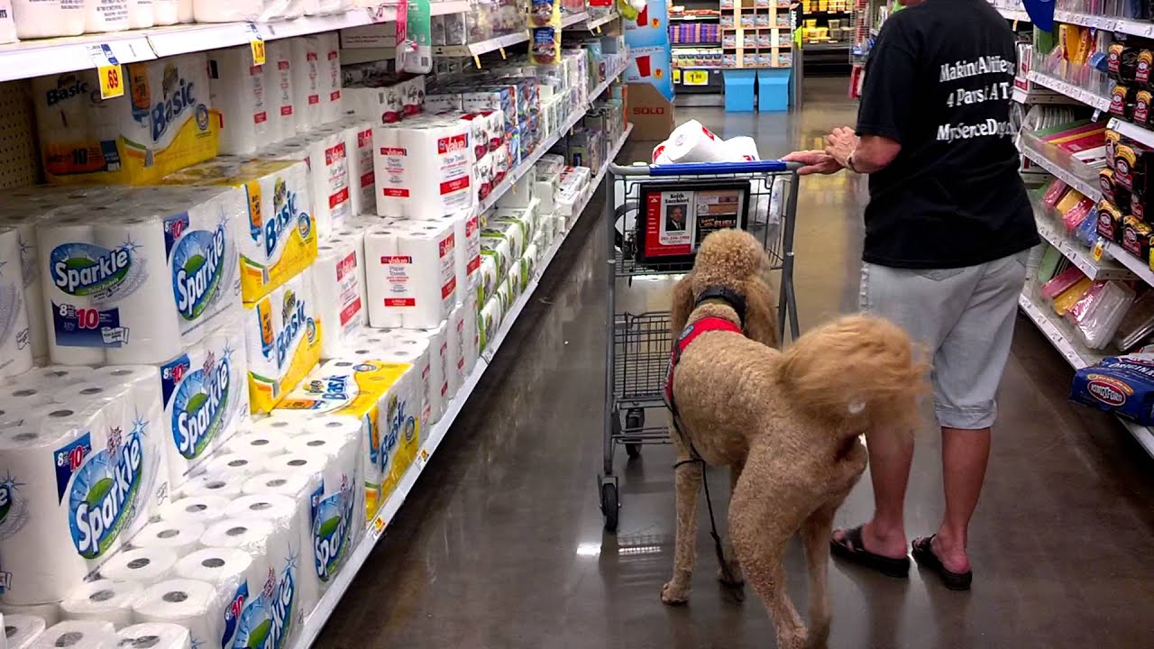 Nick shopping in Kroger - YouTube