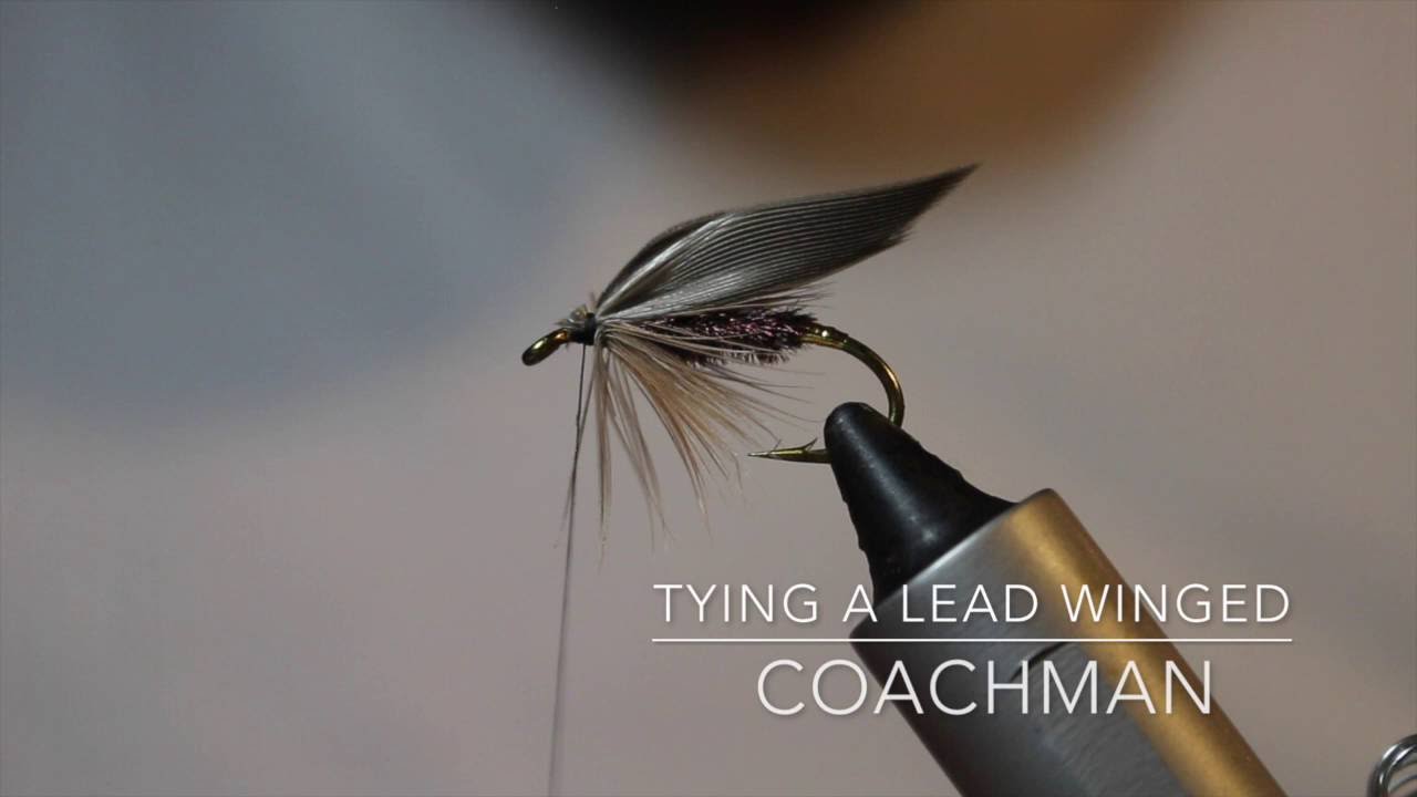 Tying a Lead Winged Coachman - YouTube