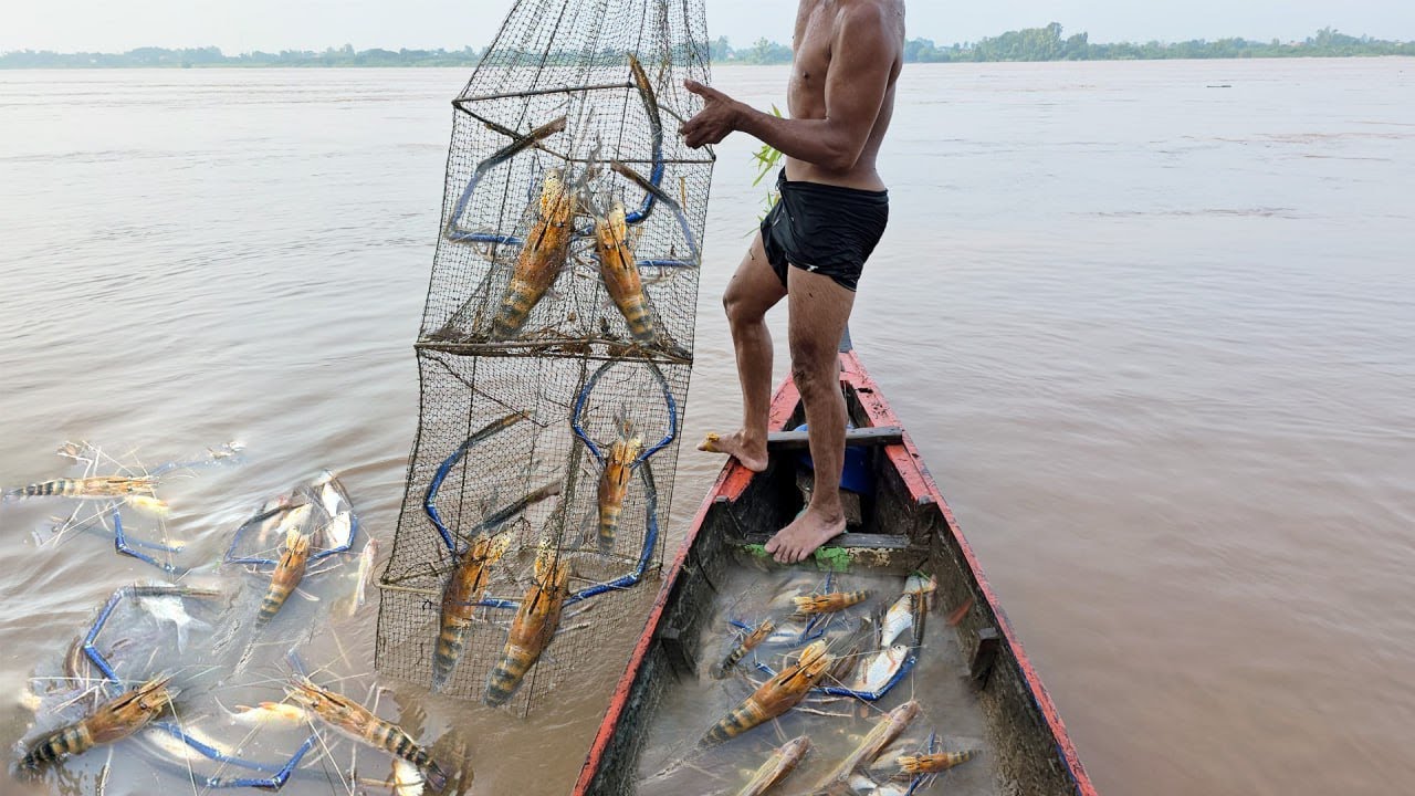 Fishing and lobstering and fish in the river | Amazing fishing ...