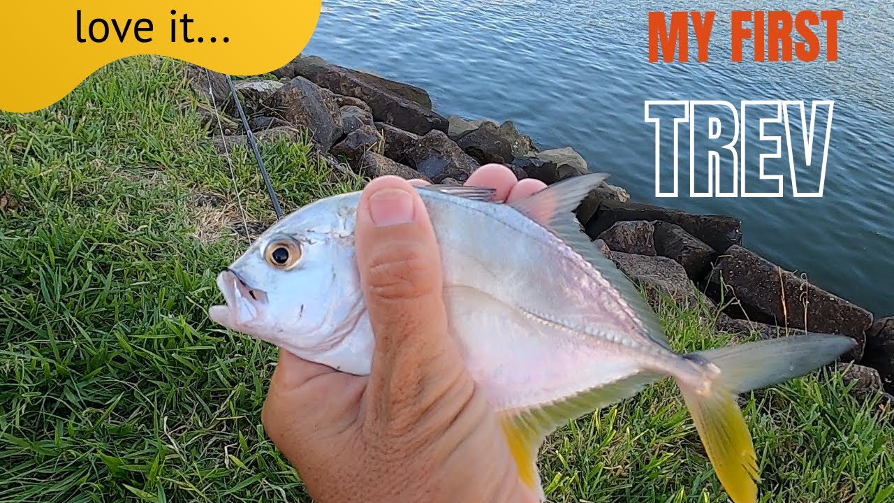 Fishing at Currumbin and Tallebudgera / Got my first Trev - YouTube
