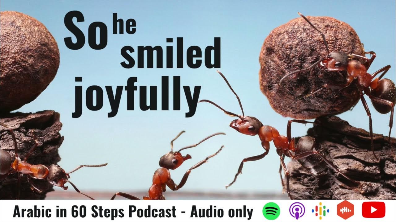 Arabic Through Animals in the Qur'an | #1 The Ant | Arabic in 60 Steps ...