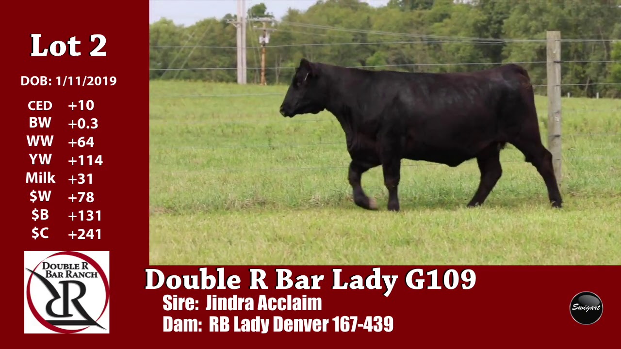 Double R Bar Lot 2 - YouTube