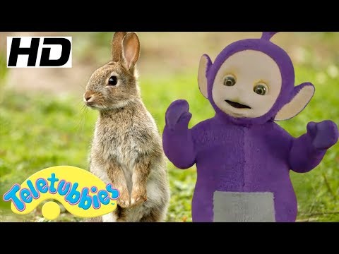 ★Teletubbies Episodes ★ Animals ★ Watch 1 Hour Teletubbies Compilation ...