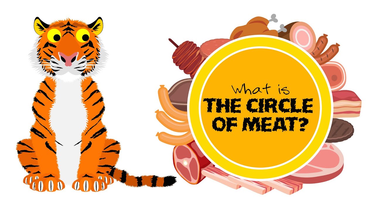 Circle of Meat - Teaser (What is the Circle of Meat?) - YouTube