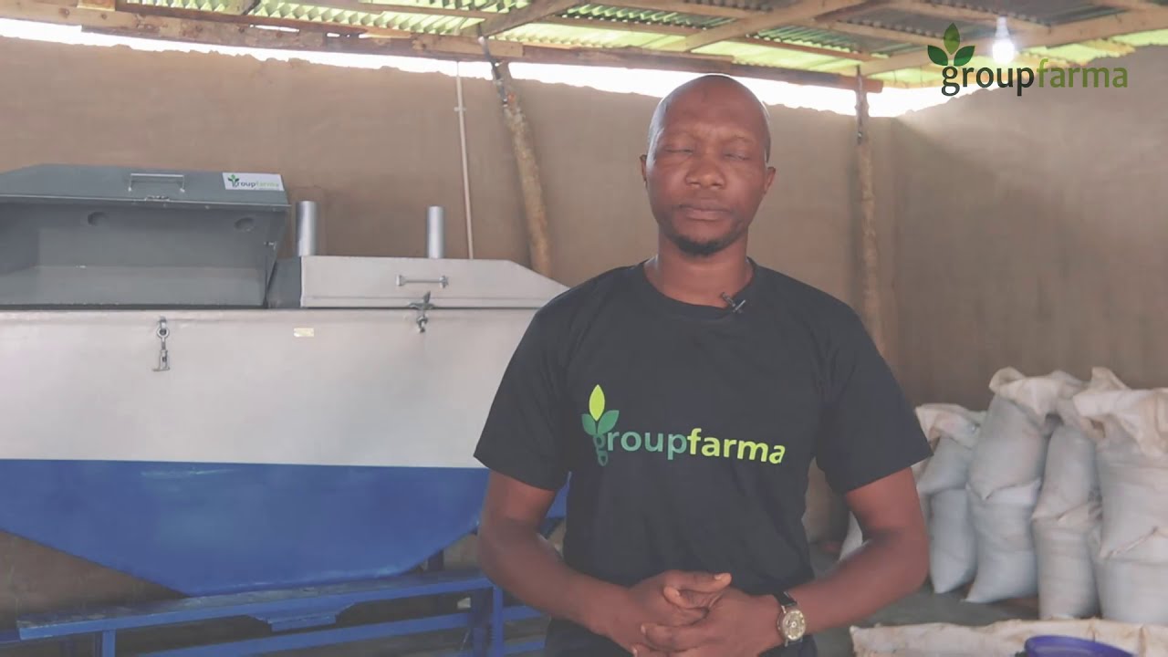 The Process of Sesame Farming - YouTube